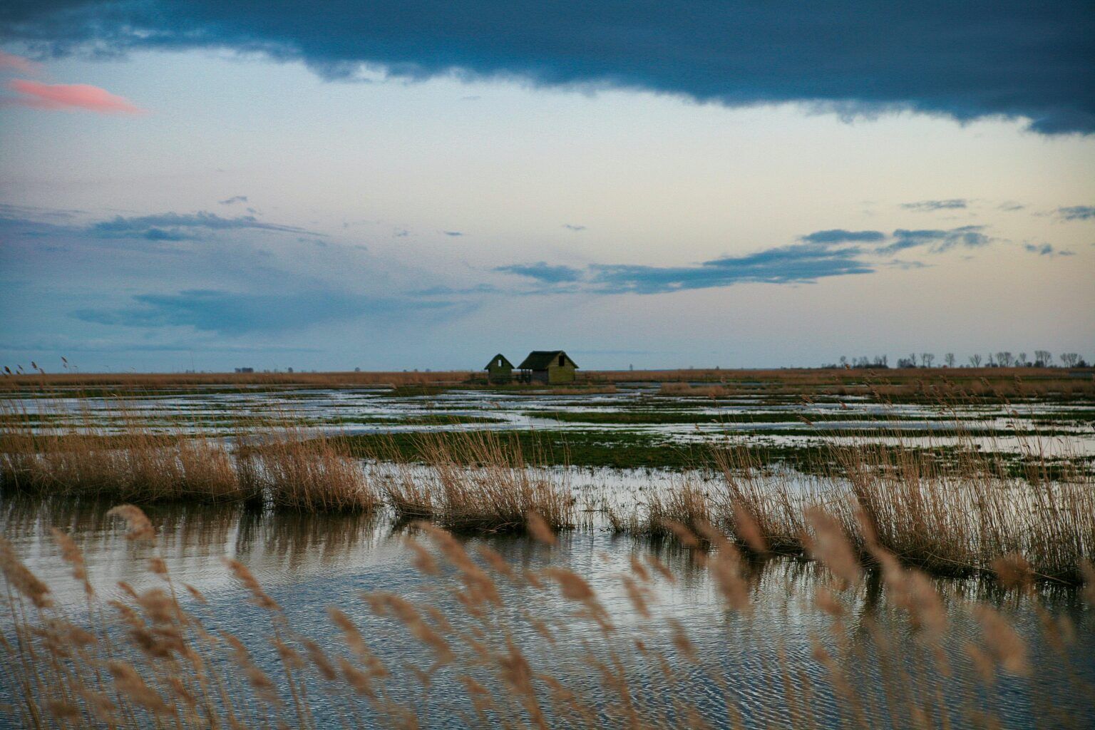 How bio-concrete and potato plastic is saving the Dutch wetlands ...